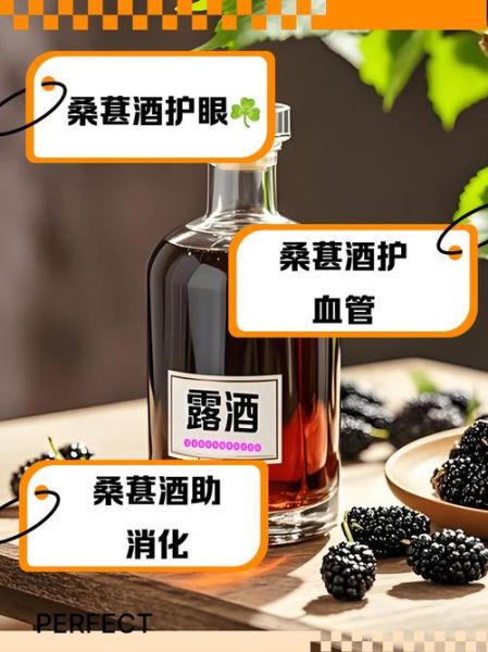 桑葚泡酒的功效与作用_桑葚酒适合什么人喝-第2张图片-山城妙识