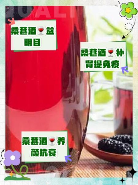 桑葚泡酒的功效与作用_桑葚酒适合什么人喝-第3张图片-山城妙识