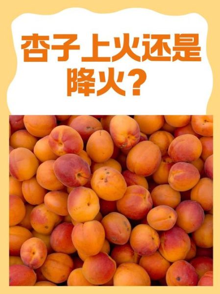 杏的功效与作用_吃杏会上火吗-第1张图片-山城妙识
