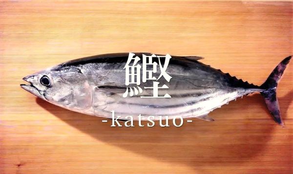 鲣鱼的营养价值及功效_鲣鱼怎么吃最健康-第2张图片-山城妙识