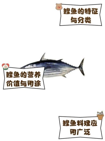 鲣鱼的营养价值及功效_鲣鱼怎么吃最健康-第1张图片-山城妙识