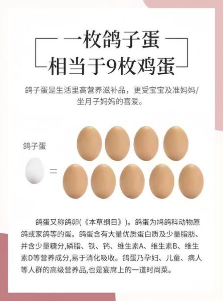 鸽子蛋市场价多少钱一个_鸽子蛋为什么贵-第1张图片-山城妙识 鸽子蛋市场价多少钱一个_鸽子蛋为什么贵-第1张图片-山城妙识