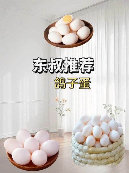 鸽子蛋市场价多少钱一个_鸽子蛋为什么贵-第3张图片-山城妙识 鸽子蛋市场价多少钱一个_鸽子蛋为什么贵-第3张图片-山城妙识