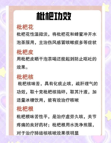 吃枇杷的禁忌有哪些_枇杷不能和什么一起吃-第1张图片-山城妙识