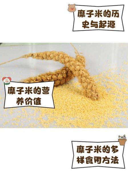 糜子米是什么米_糜子米和小米的区别-第1张图片-山城妙识