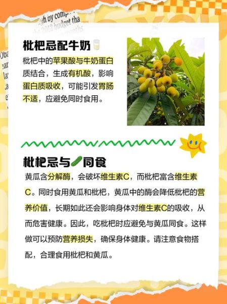 吃枇杷的禁忌有哪些_枇杷不能和什么一起吃-第2张图片-山城妙识