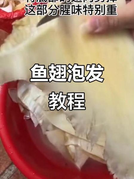 鱼翅怎么泡发成丝_鱼翅泡发成丝视频教程-第1张图片-山城妙识 鱼翅怎么泡发成丝_鱼翅泡发成丝视频教程-第1张图片-山城妙识