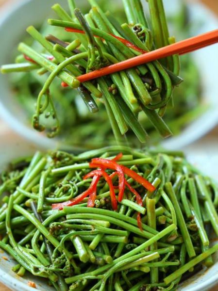 蕨菜怎么做好吃_蕨菜有毒吗-第1张图片-山城妙识