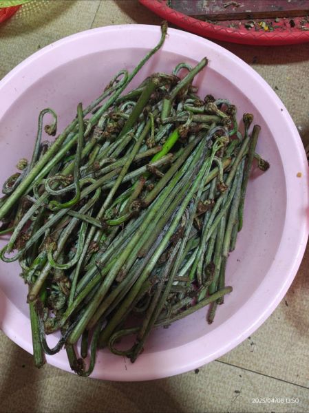 蕨菜怎么做好吃_蕨菜有毒吗-第2张图片-山城妙识