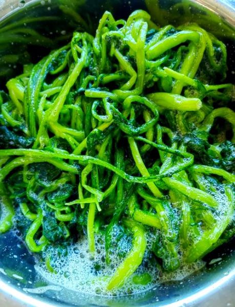 腌雪里蕻怎么做_雪里蕻腌制多久能吃-第1张图片-山城妙识