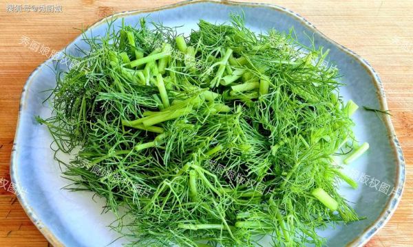 素炒茴香菜怎么做_茴香菜不苦的小窍门-第2张图片-山城妙识