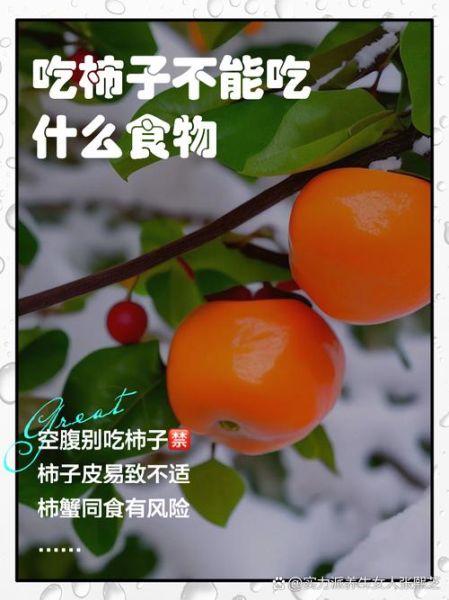 吃柿子忌讳什么食物_吃柿子不能和什么一起吃-第2张图片-山城妙识