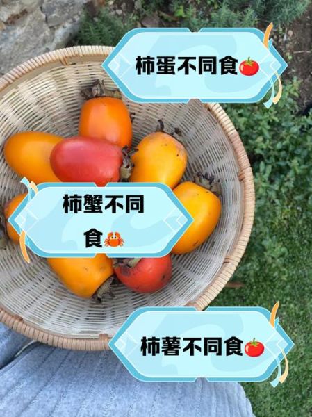 吃柿子忌讳什么食物_吃柿子不能和什么一起吃-第3张图片-山城妙识