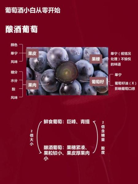 葡萄酒可以加冰糖吗_冰糖在酿制中的作用-第3张图片-山城妙识 葡萄酒可以加冰糖吗_冰糖在酿制中的作用-第3张图片-山城妙识