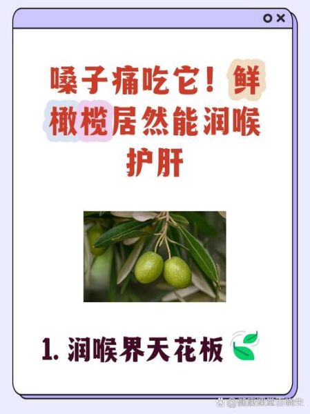 橄榄怎么吃_新鲜橄榄的吃法大全-第1张图片-山城妙识