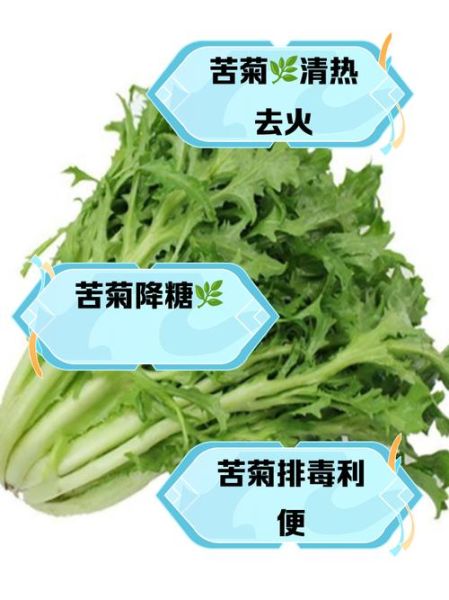 苦菊的功效与作用有哪些_苦菊的营养价值高吗-第2张图片-山城妙识 苦菊的功效与作用有哪些_苦菊的营养价值高吗-第2张图片-山城妙识