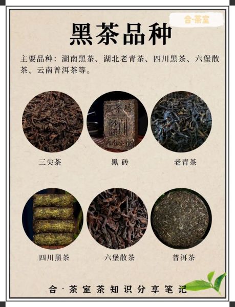 普洱茶属于什么茶系_普洱是黑茶吗-第2张图片-山城妙识