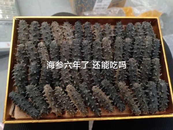 干海参有保质期吗_干海参能放多久-第1张图片-山城妙识 干海参有保质期吗_干海参能放多久-第1张图片-山城妙识