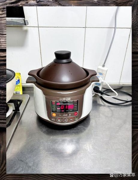 电炖锅做什么菜好吃_电炖锅食谱推荐-第1张图片-山城妙识 电炖锅做什么菜好吃_电炖锅食谱推荐-第1张图片-山城妙识