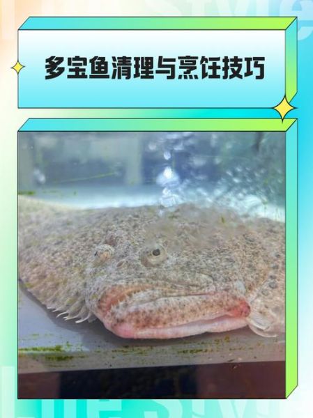 多宝鱼怎么杀_多宝鱼清理内脏图解-第2张图片-山城妙识 多宝鱼怎么杀_多宝鱼清理内脏图解-第2张图片-山城妙识