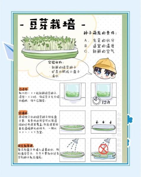 绿豆芽怎么发又粗又快_家庭无土催芽技巧-第1张图片-山城妙识