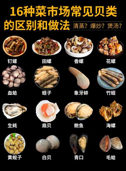 贝类海鲜有哪些种类_贝类海鲜图片大全-第2张图片-山城妙识 贝类海鲜有哪些种类_贝类海鲜图片大全-第2张图片-山城妙识