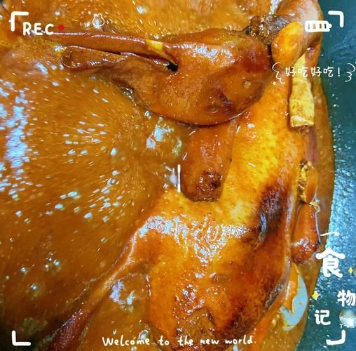 卤鸭子怎么做_卤鸭子的做法大全-第2张图片-山城妙识 卤鸭子怎么做_卤鸭子的做法大全-第2张图片-山城妙识