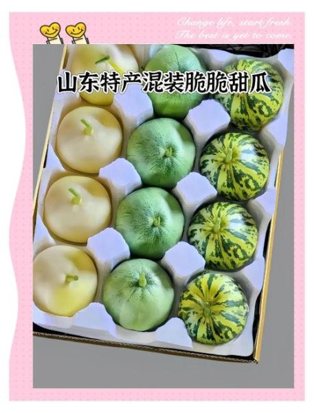 脆瓜怎么挑选_脆瓜图片高清大图-第1张图片-山城妙识