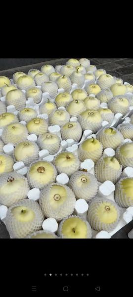 脆瓜怎么挑选_脆瓜图片高清大图-第3张图片-山城妙识