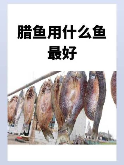 腊鱼用什么鱼最好_腊鱼制作选鱼技巧-第3张图片-山城妙识