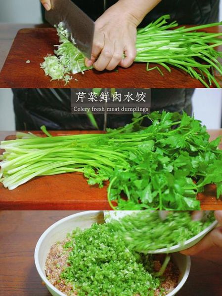 芹菜包饺子要不要挤水_芹菜饺子馅出水怎么办-第2张图片-山城妙识 芹菜包饺子要不要挤水_芹菜饺子馅出水怎么办-第2张图片-山城妙识