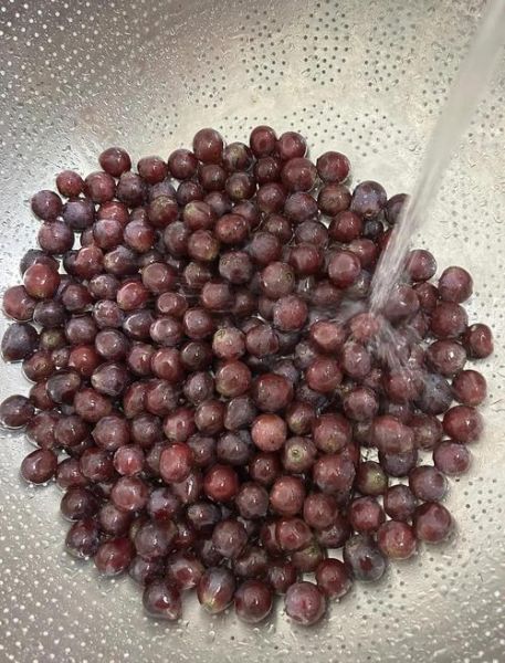 怎样做葡萄酒_葡萄酒的正确做法视频教程-第2张图片-山城妙识