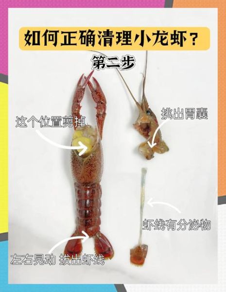 小龙虾什么时候入侵中国_小龙虾如何扩散到全国-第3张图片-山城妙识 小龙虾什么时候入侵中国_小龙虾如何扩散到全国-第3张图片-山城妙识