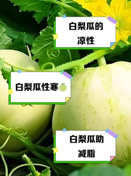 梨瓜上火吗_梨瓜是凉性还是热性-第1张图片-山城妙识