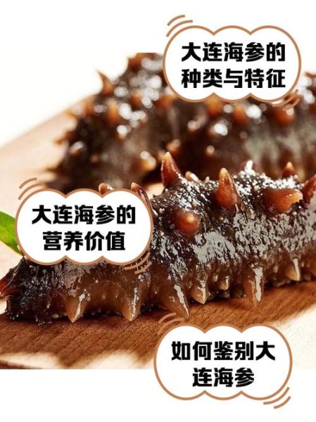 中国最好的海参品牌有哪些_海参品牌排行榜前十名-第2张图片-山城妙识 中国最好的海参品牌有哪些_海参品牌排行榜前十名-第2张图片-山城妙识