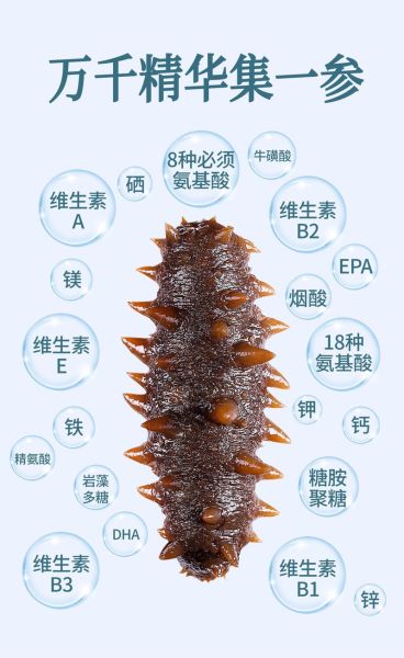 中国最好的海参品牌有哪些_海参品牌排行榜前十名-第1张图片-山城妙识 中国最好的海参品牌有哪些_海参品牌排行榜前十名-第1张图片-山城妙识