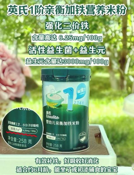 婴儿米粉哪个牌子好_婴儿米粉十大排行榜-第3张图片-山城妙识