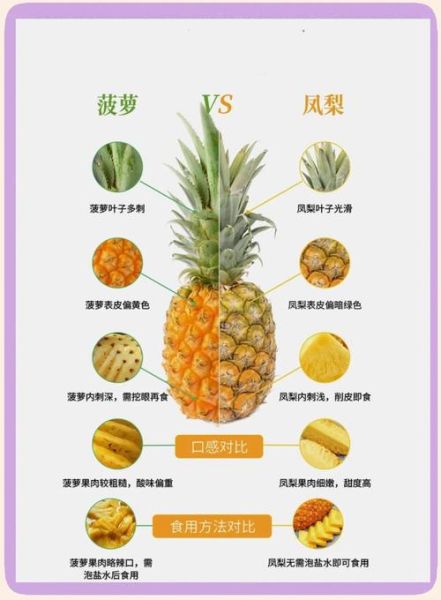 菠萝和凤梨的价格区别_为什么凤梨更贵-第1张图片-山城妙识 菠萝和凤梨的价格区别_为什么凤梨更贵-第1张图片-山城妙识