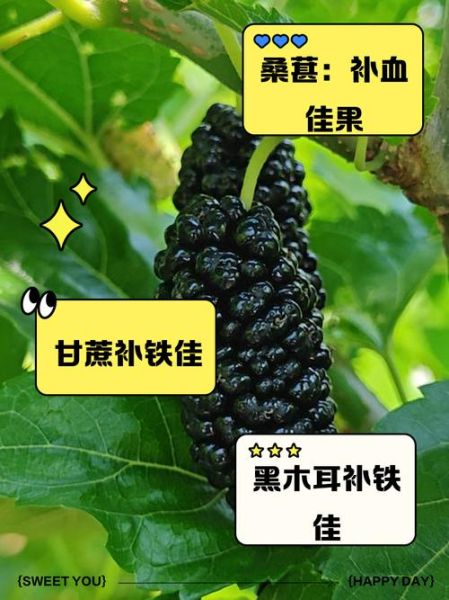 含铁高的水果蔬菜有哪些_缺铁吃什么最快补-第3张图片-山城妙识