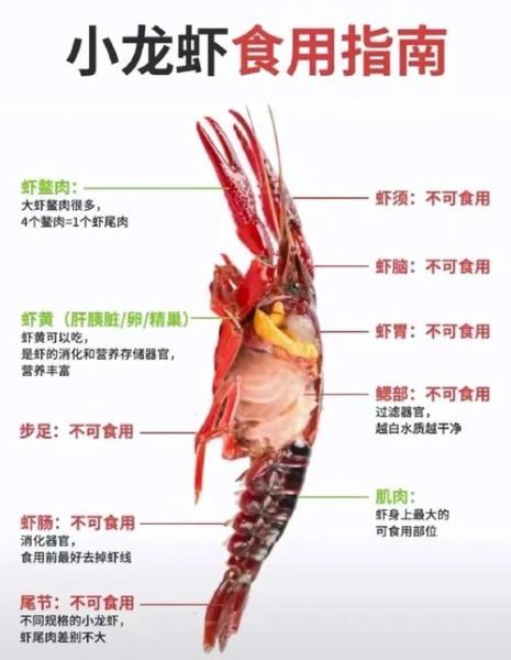 孕妇能吃小龙虾吗初期_怀孕早期吃小龙虾安全吗-第3张图片-山城妙识