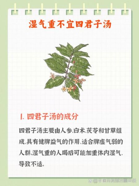 湿气重为什么不能喝四君子汤_四君子汤禁忌人群-第1张图片-山城妙识