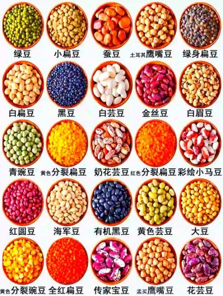 豆子种类有哪些_如何区分不同豆类-第2张图片-山城妙识