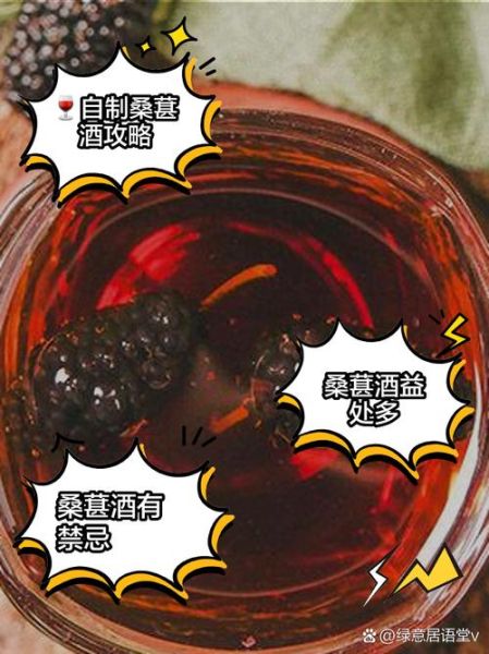 桑葚泡酒的比例是多少_桑葚酒怎么泡才正确-第1张图片-山城妙识