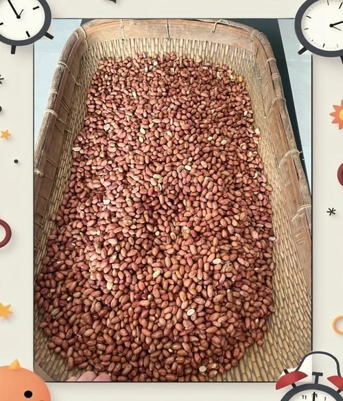 河南花生米多少钱一斤_2024年河南花生米价格走势-第1张图片-山城妙识 河南花生米多少钱一斤_2024年河南花生米价格走势-第1张图片-山城妙识