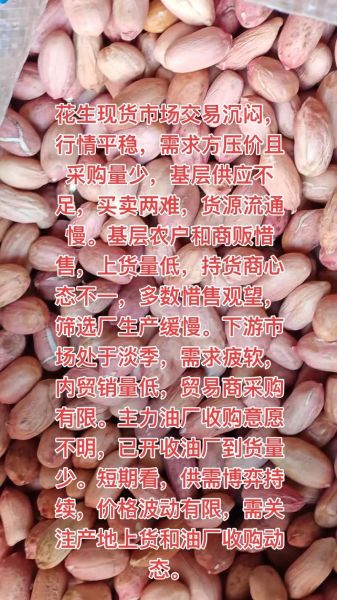河南花生米多少钱一斤_2024年河南花生米价格走势-第2张图片-山城妙识 河南花生米多少钱一斤_2024年河南花生米价格走势-第2张图片-山城妙识