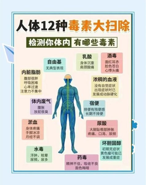 排毒养颜最好的方法_如何科学排毒养颜-第3张图片-山城妙识 排毒养颜最好的方法_如何科学排毒养颜-第3张图片-山城妙识