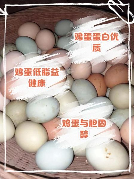 蛋清蛋白质含量高吗_蛋清热量是多少-第2张图片-山城妙识