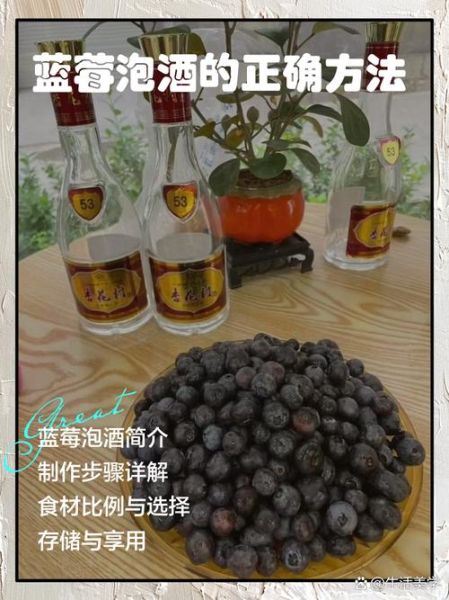 蓝莓酒怎么泡_蓝莓酒泡多久能喝-第1张图片-山城妙识 蓝莓酒怎么泡_蓝莓酒泡多久能喝-第1张图片-山城妙识