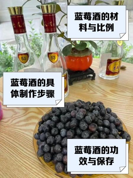 蓝莓酒怎么泡_蓝莓酒泡多久能喝-第2张图片-山城妙识 蓝莓酒怎么泡_蓝莓酒泡多久能喝-第2张图片-山城妙识