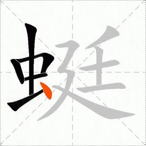 蜻蜓的拼音怎么写_蜻蜓拼音声调怎么标-第1张图片-山城妙识